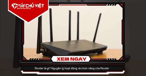 Router Là Gì Nguyên Lý Hoạt động Và Chức Năng Của Router Máy Chủ Việt