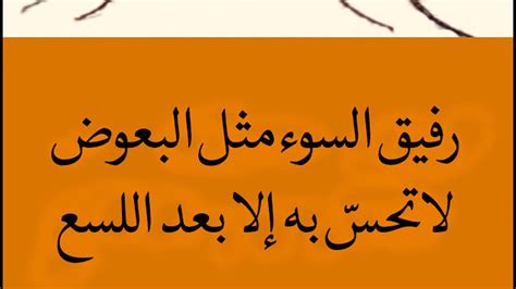 حكم وأمثال وكلام من ذهب للعقول الراقية 4 Youtube