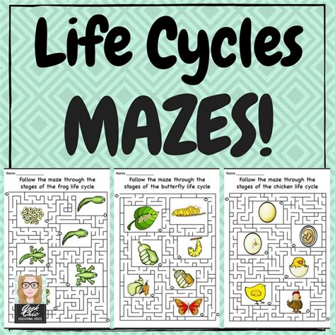 Biology And Life Science Life Cycles Fun Mazes Science Life Cycles Life Science Science