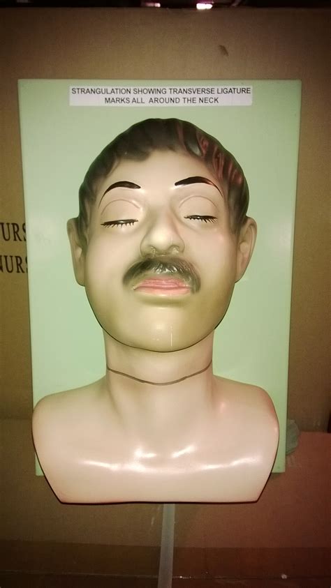 Forensic Model Jonaki Scientific Store Scientific World S S Trade International