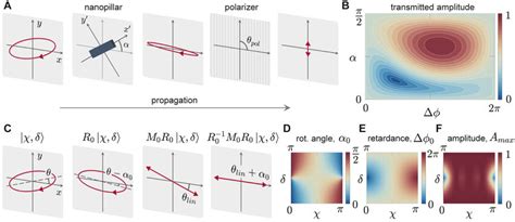 Mapping Polarization To Amplitude A An Arbitrary Input Polarization