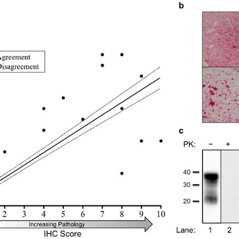 Correlation Between Ihc Score And Spmca Score Of Each Sample A