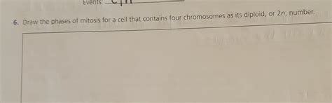 Solved 6 Draw The Phases Of Mitosis For A Cell That C