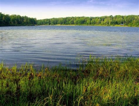 Голубое небо природа пейзаж отражение озеро зеленая трава вода лес Поездки Пейзажи Озеро