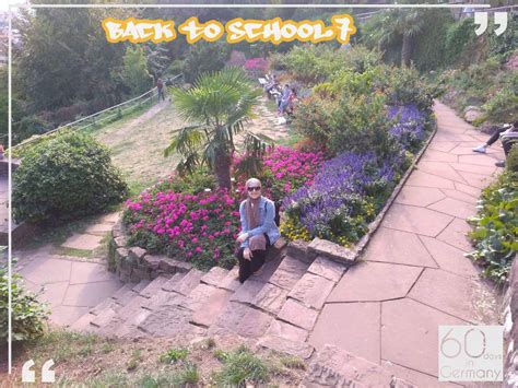 باك تو سكول اسرع و اقوي Dfa Accredited German Institute