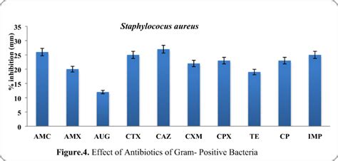 Effect Of Antibiotics Of Gram‐positive Bacteria Amc Ampicillin Amx