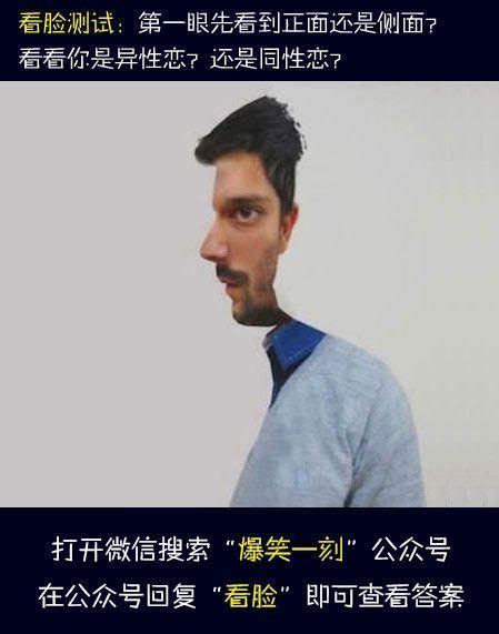 北極圈32℃高溫，北極熊即將滅絕？ 壹讀
