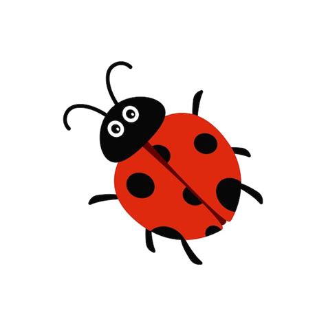 Милый персонаж карикатуры на белом фоне иллюстрация вектора насекомых Ladybug Премиум вектор