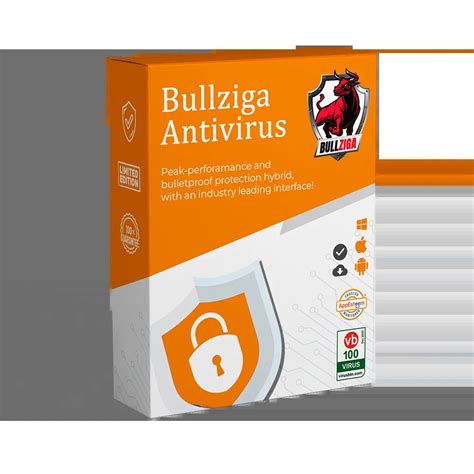 Bullziga Advanced Cybersecurity Solutions For You