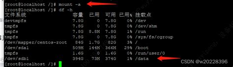 Linux 磁盘挂载linux目录挂载100g Csdn博客