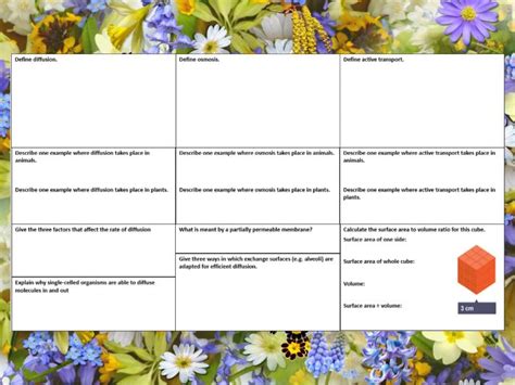Gcse Biology 9 1 13 Cell Transport Revision Mat Teaching Resources