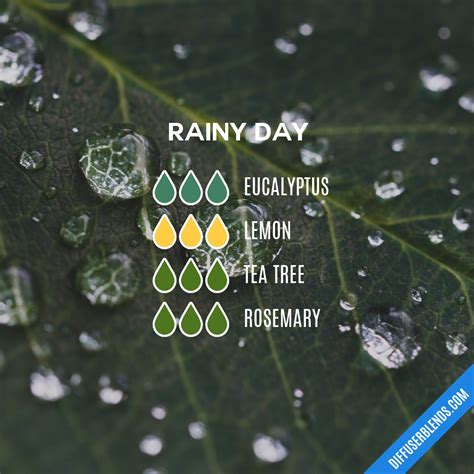 Rainy Day