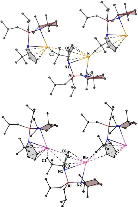 Section Of The Polymeric Structure Of Top K T Budhptmpal I Bu Download Scientific