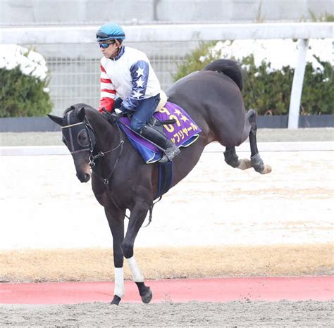 今月末で騎手引退の福永、栗東で最後の追い切り シャフリヤールに騎乗「めっちゃ良かった」 スポニチ競馬web