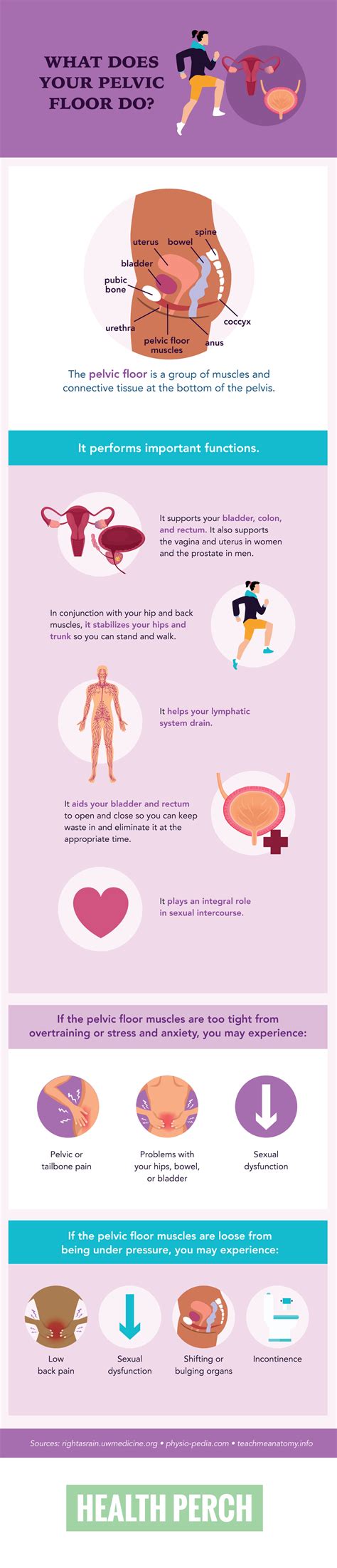 Divine Tips About How To Relax The Pelvic Floor Muscles Partnershipcopy26