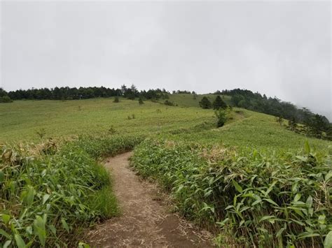 白草山・箱岩山 リンゴンさんの白草山・寺田小屋山の活動データ Yamap ヤマップ