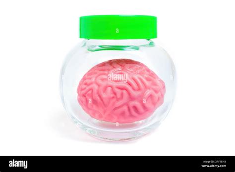 Pink Jelly Like Human Brain Model Placed Inside A Glass Jar Isolated On
