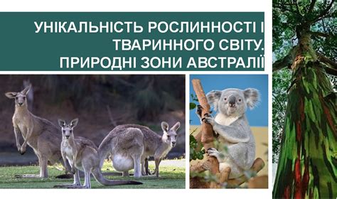 Природні зони Австралії