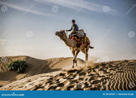 Boy Riding A Camel In The Desert Editorial Photography Image Of Rides