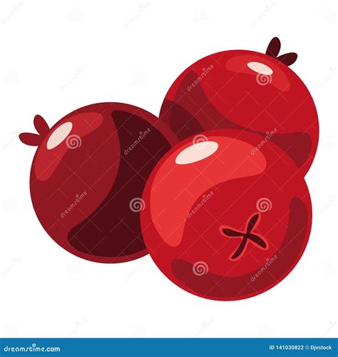Cranberries Icon Design Stock Vector Illustration Of Nutrition 141030822