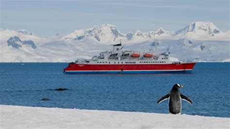 Linux Foundation Courses South Africa Jumping Bean