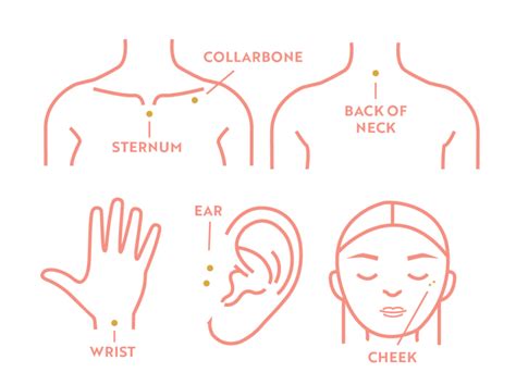 A Guide To Bridge Piercings Essential Beauty And Piercing