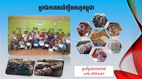 នាយកដ្ នាយកដ្ឋានផ្សព្វផ្សាយកសិកម្ម រុក្ខាប្រមាញ់ និងនេសាទ