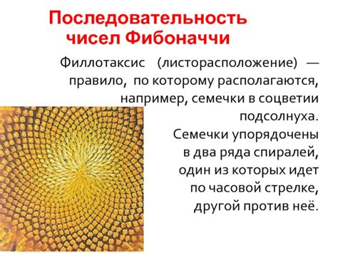 Последовательность фибоначчи от 1 до 500 с циклом и рекурсией Язык Python