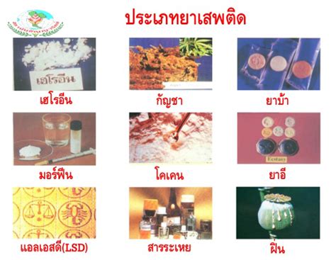 ประเภทของยาเสพติด