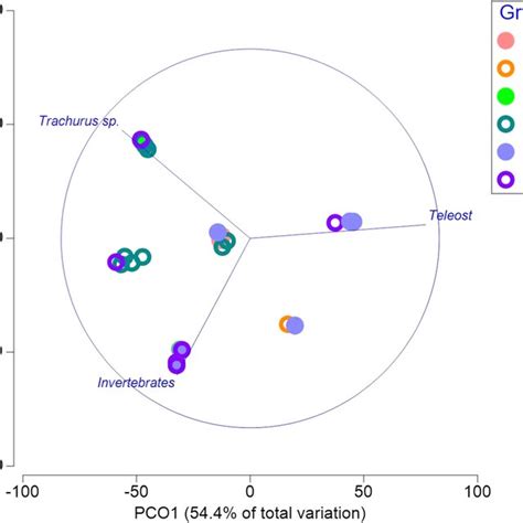 Results Of Principal Coordinate Analysis Pcoa Derived From Visual Download Scientific Diagram