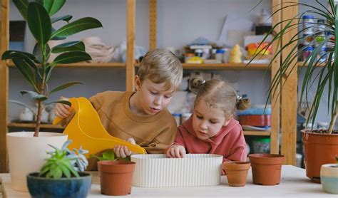 Posts Tagged Air Purifying Plants