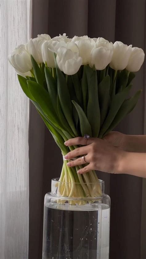 Пин от пользователя Zayats111213 на доске Ваши пины Белые тюльпаны Букет из тюльпанов Тюльпаны