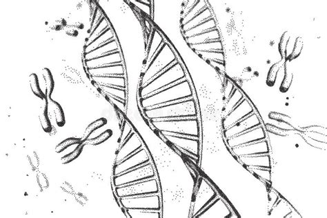 De Vectorillustratie Van Genoomdna Dna Structuur Eps 10 Genoom Die