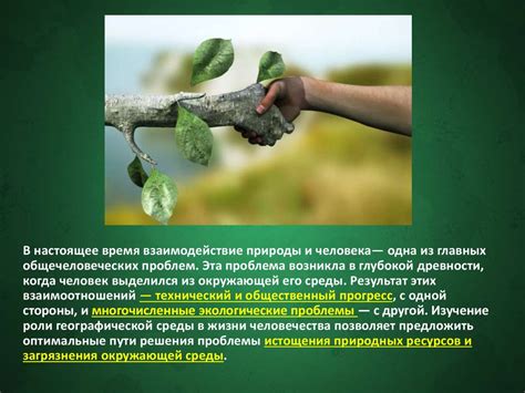 Природа и человек презентация онлайн
