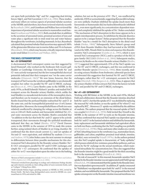 Fish Osmoregulation Pdf