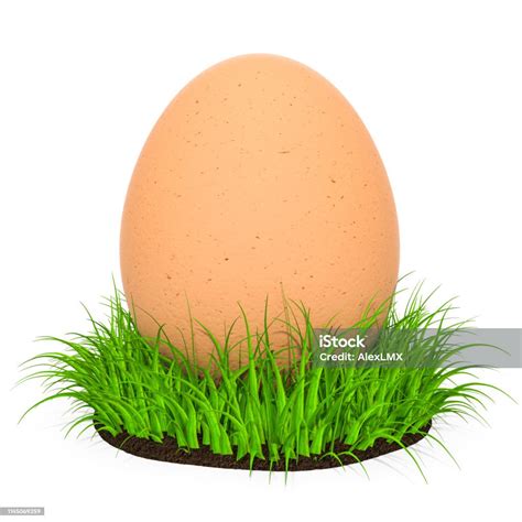 녹색 잔디 흰색 배경에 고립 된 3d 렌더링에 계란 3차원 형태에 대한 스톡 사진 및 기타 이미지 3차원 형태 개념 개념과 주제 Istock