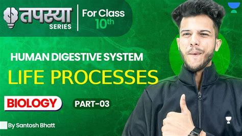 Human Digestive System Class 10 Life Processes Class 10 Science Ch