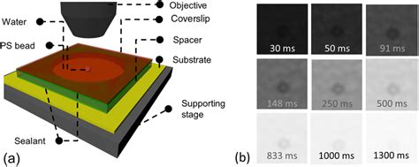 A Setup In Which A Microscope Is Used To Image Polystyrene Microbeads