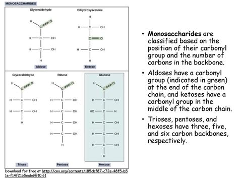 Biological Macromolecules Ppt Download