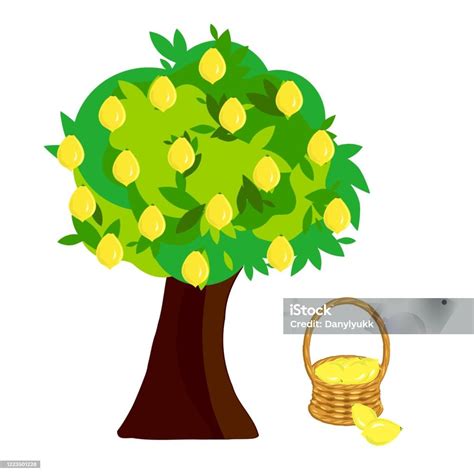 포도 나무와 레몬 나무 고리 버들 아래 바구니에 레몬 과일 예술 디자인 요소 개체 고립된 스톡 벡터 일러스트 0명에 대한 스톡