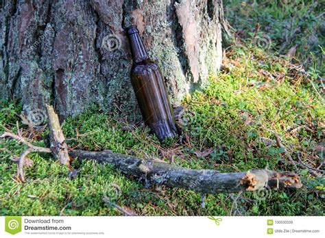 People Leave Bootle Under The Tree Stock Image Image Of Garden Green