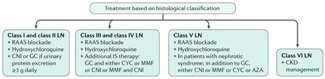 Lupus Manifestations Of Lupus Clinical Guidance