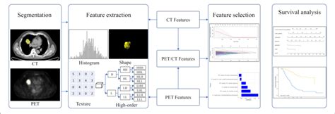 The Workflow In Developing A Radiomic Overall Survival Nomogram Download Scientific Diagram
