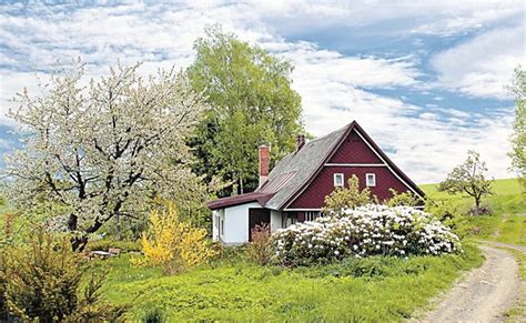 Стил натурализъм и още нещо за 2024 г Български Фермер