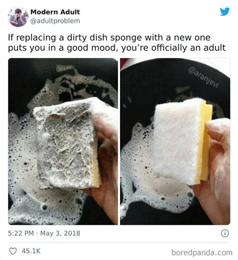 50 Hilarious Memes Highlighting The Realities Of Adulting