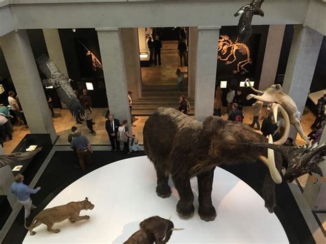 Impressionen Museumsnacht In Halle Und Leipzig