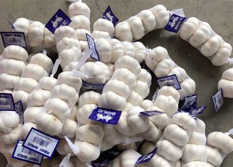 New Crop Fresh Normal White Red Chinese Garlic Malter Group