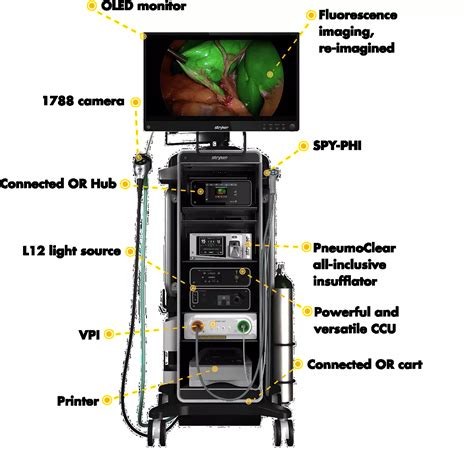 1788 Platform Stryker