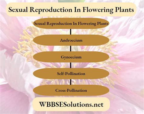 Wbbse Solutions For Class 10 Life Science And Environment Chapter 2