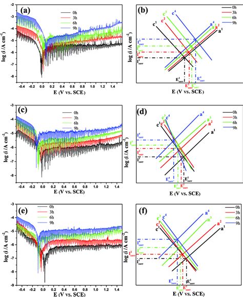 The Potentiodynamic Polarization Curves And The Ideal Schematic